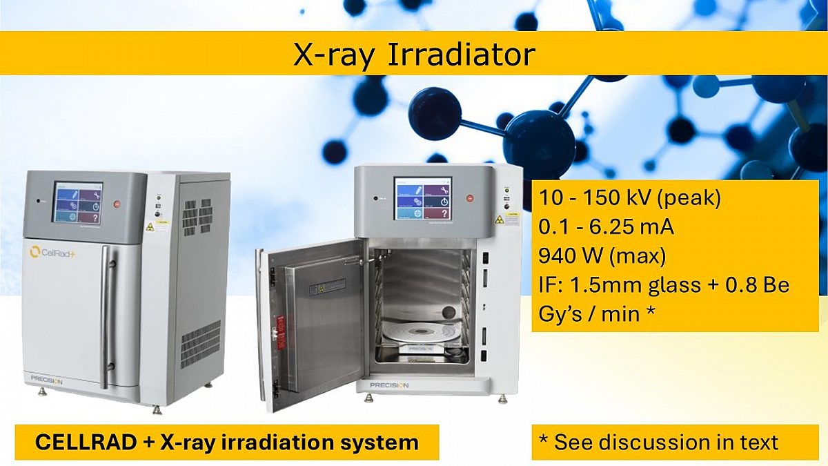 Ionactive | X-ray cabinet sterilisation (irradiation) - IRR17